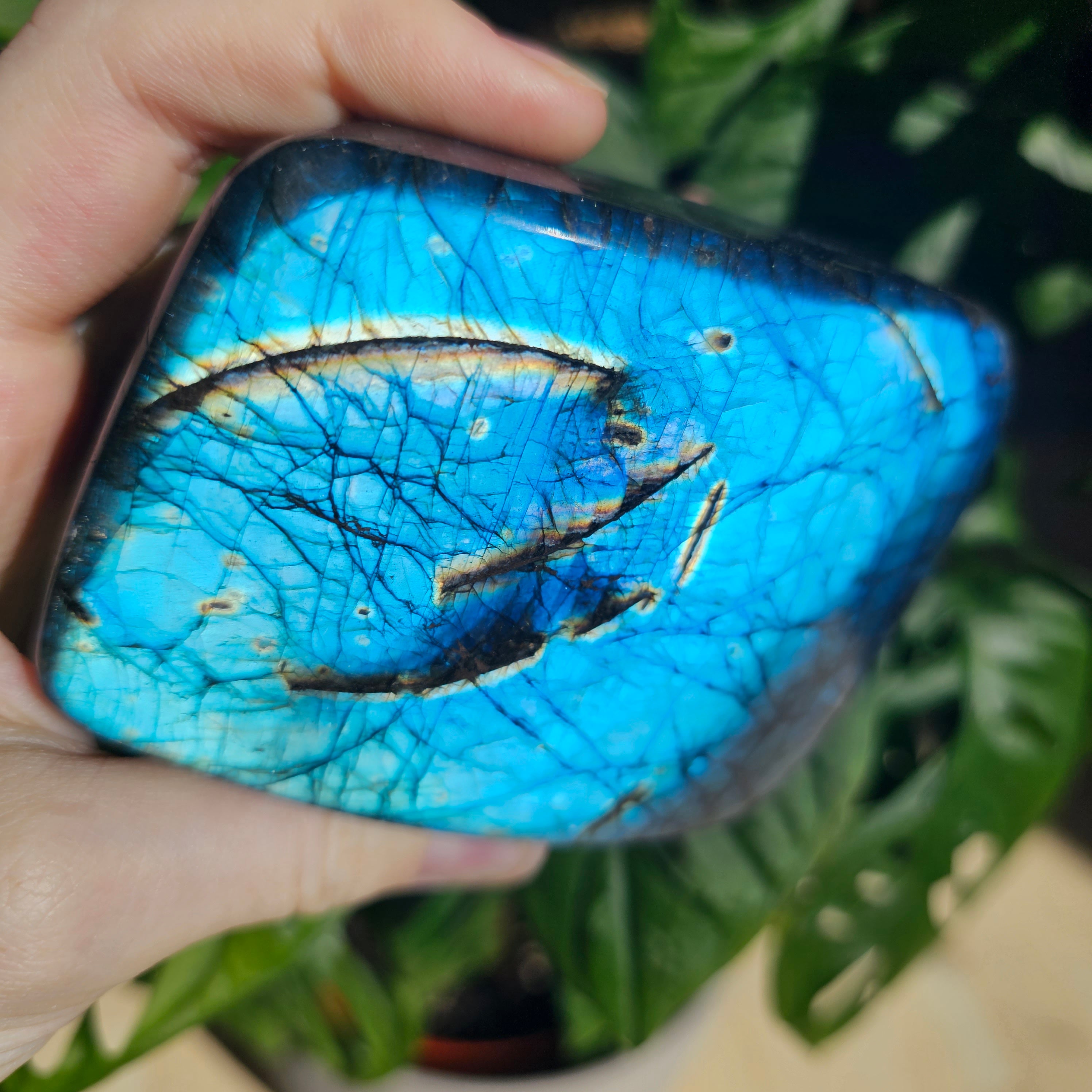 Freeforms#N# – Mystic Moon Minerals